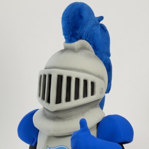 Complete your BSN | Mount Saint Mary College