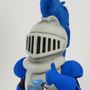 Admissions & Aid | Mount Saint Mary College