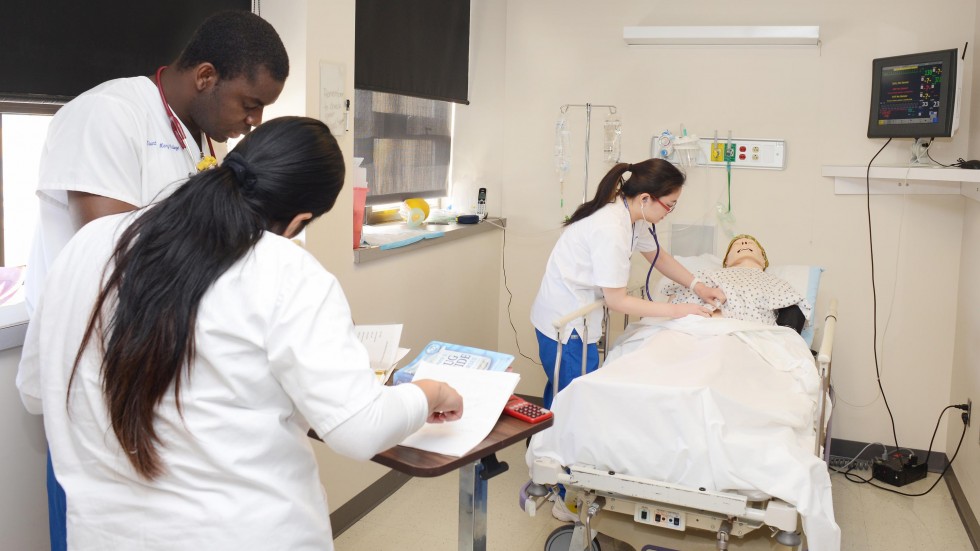 Nursing | Mount Saint Mary College