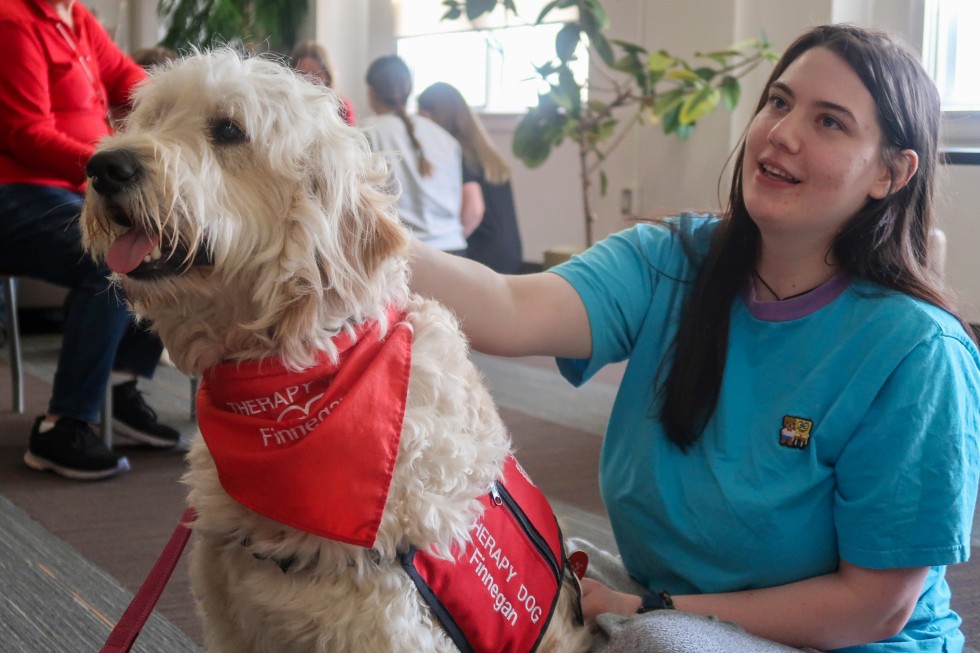 Therapy dogs give Mount students a chance to ‘paws’ and relax | Mount ...