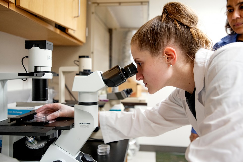 Summer studies revealed: Students to present original research at the ...