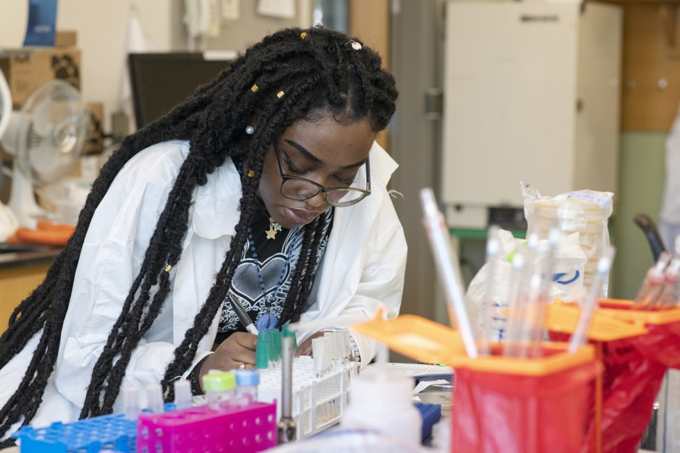 Summer studies revealed: Students to present original research at the ...