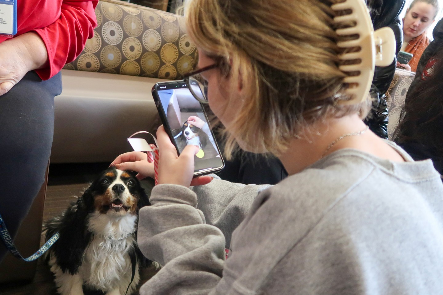 Therapy dogs give Mount students a chance to ‘paws’ and relax | Mount ...
