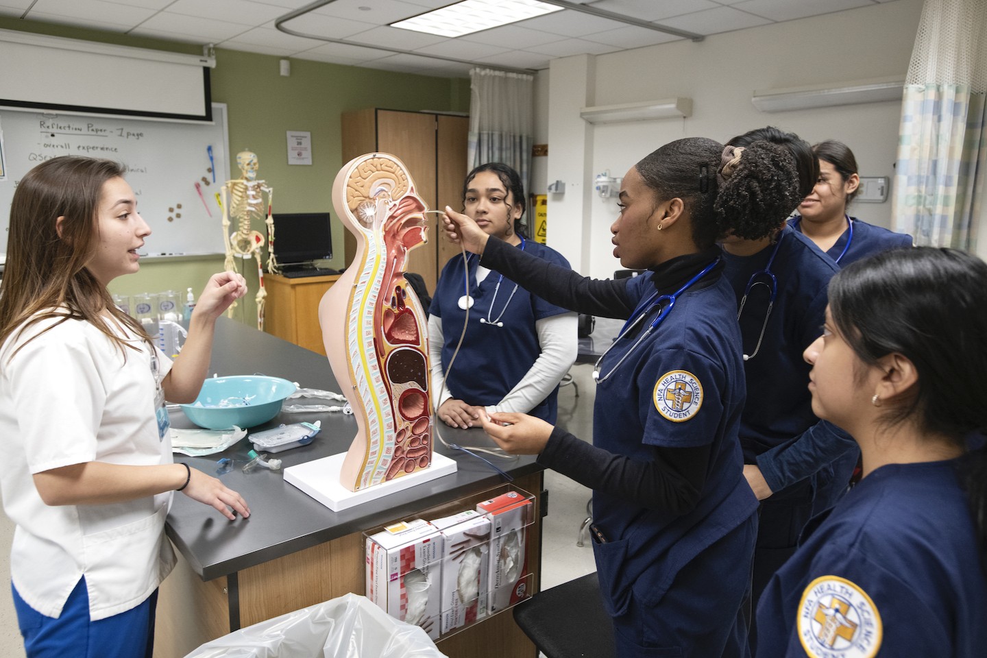 Mount Nursing students mentor the next generation | Mount Saint Mary ...