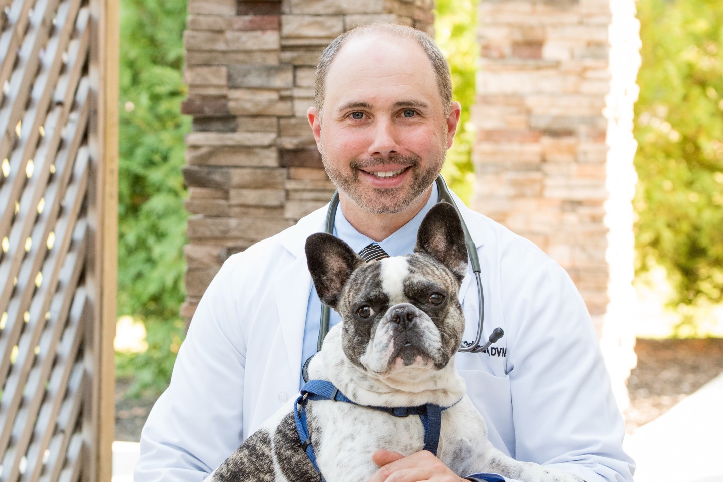 Dr. Joseph Palamara, veterinary surgeon, to give keynote at 2025 Mount ...