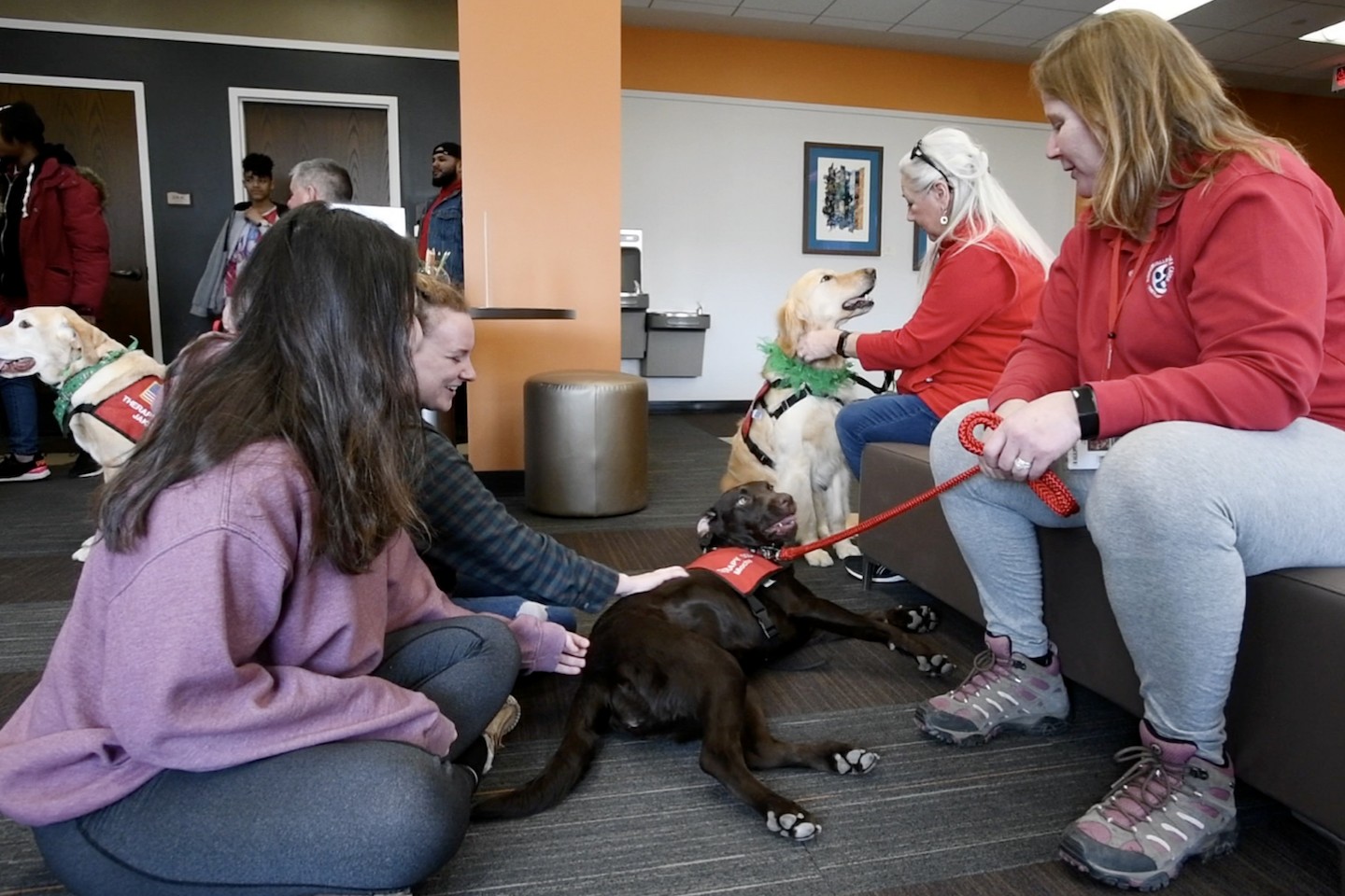 Therapy dogs wag away anxiety during Mount’s mid-semester crunch ...