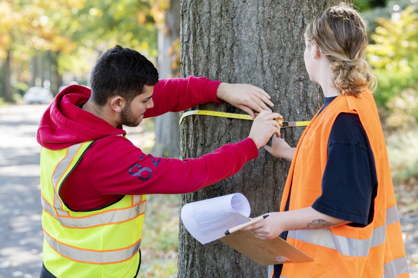 Mount students assist Greater Newburgh Parks Conservancy with tree ...