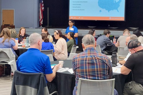 Mount staff, faculty receive mental health aid training | Mount Saint ...