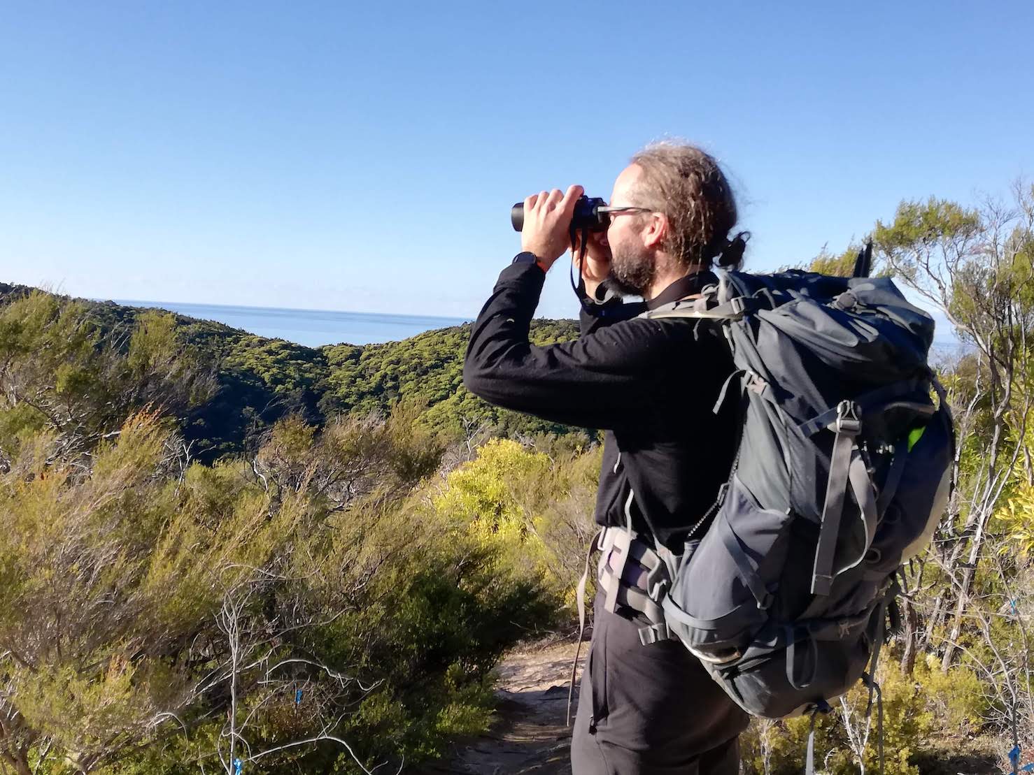 High-flying research: Mount professor gets back to nature in New ...