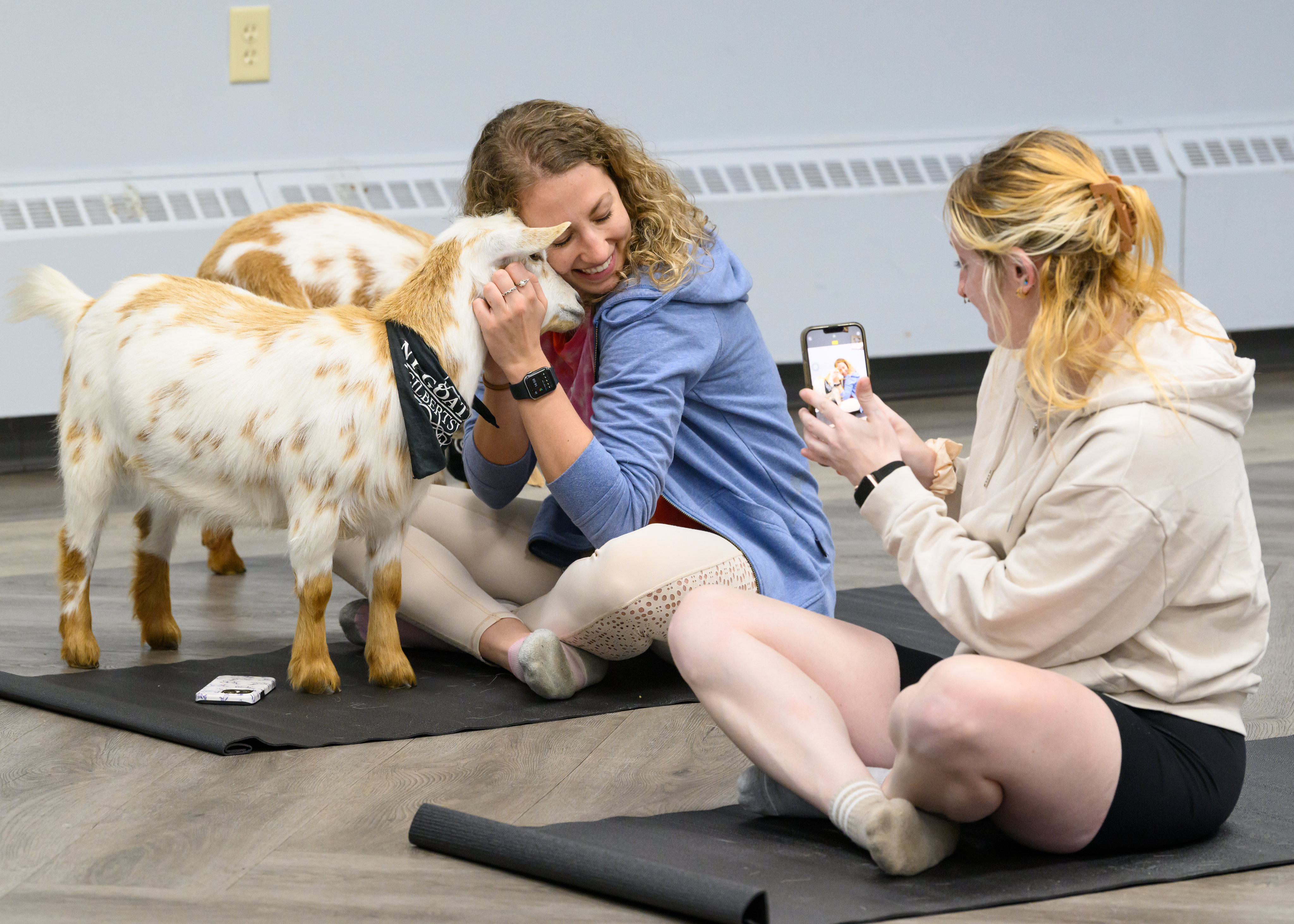Mount students’ yoga class guided by goats | Mount Saint Mary College