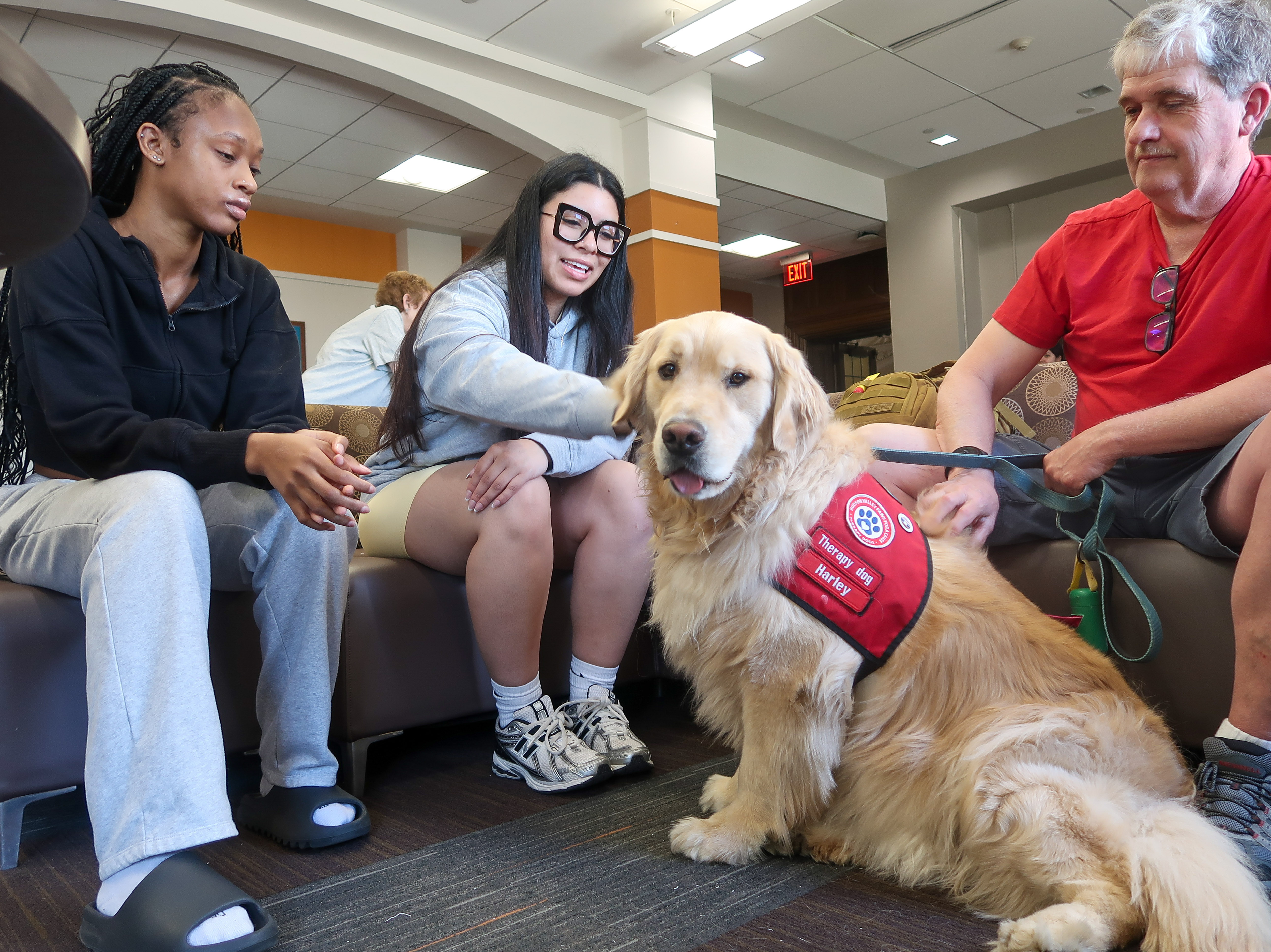 Therapy dogs help Mount students ‘paws’ and relax | Mount Saint Mary ...