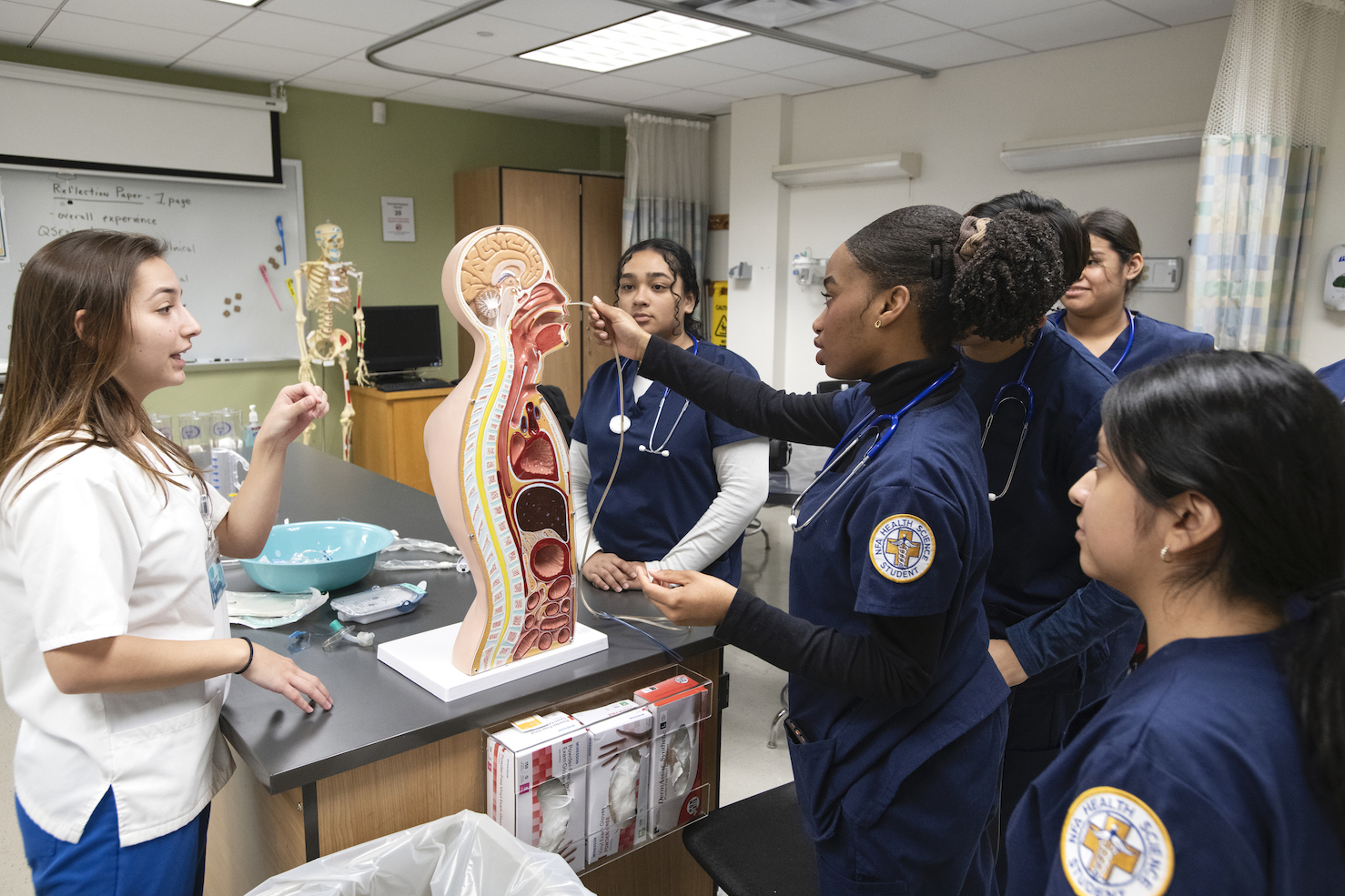 Mount Nursing students mentor the next generation | Mount Saint Mary ...