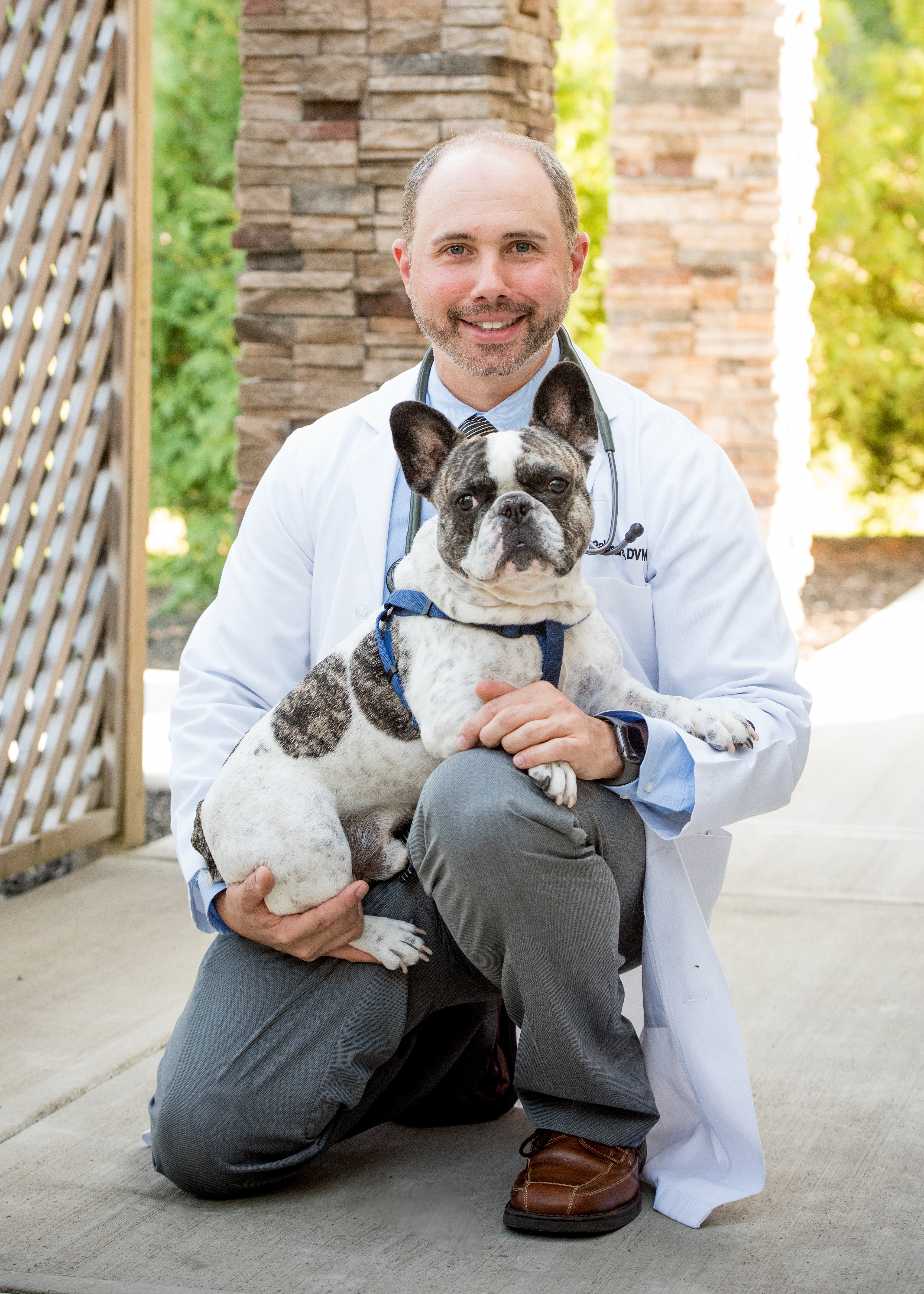 Dr. Joseph Palamara, veterinary surgeon, to give keynote at 2025 Mount ...