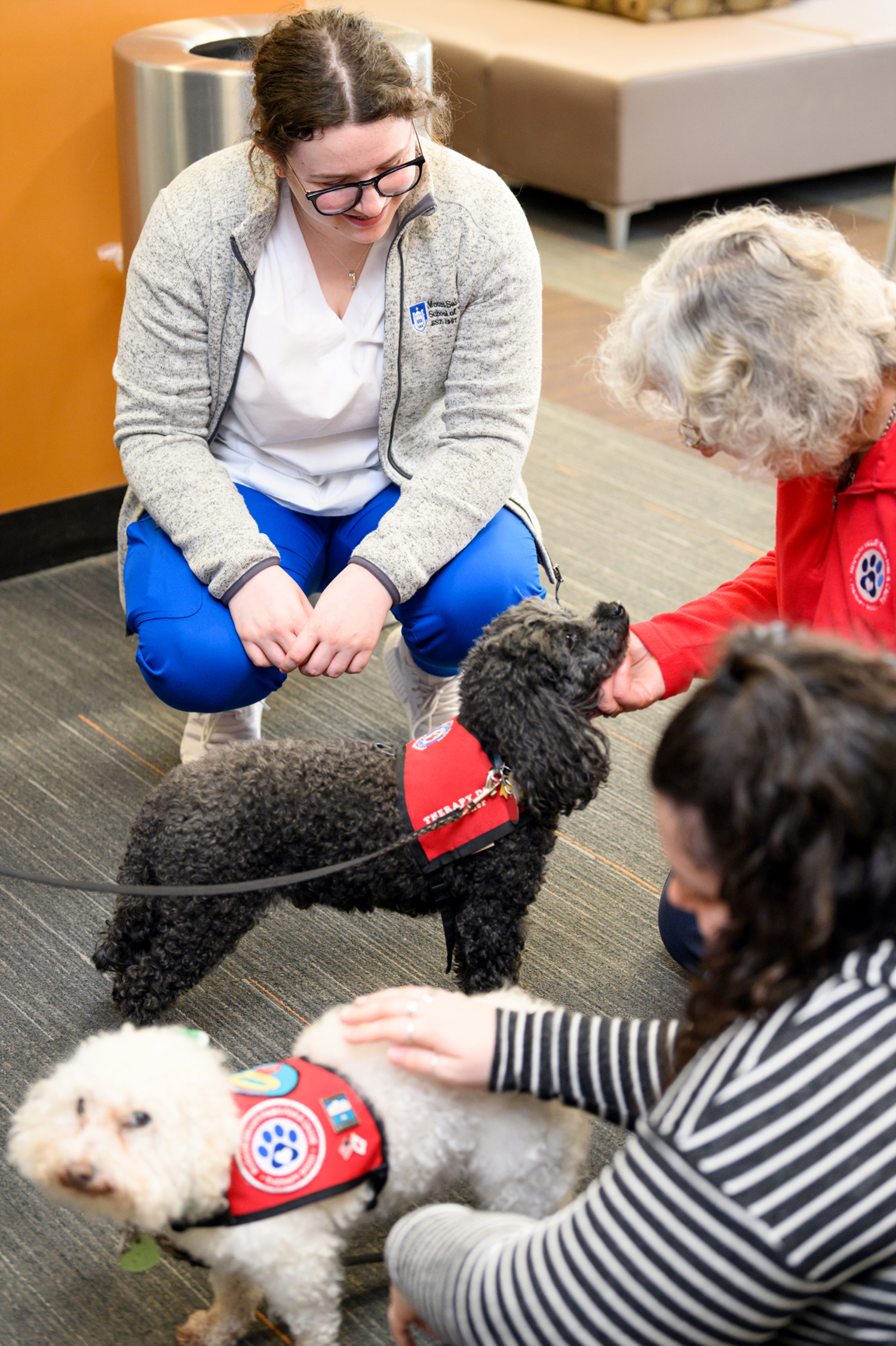 Therapy dogs give Mount students a chance to ‘paws’ and relax | Mount ...