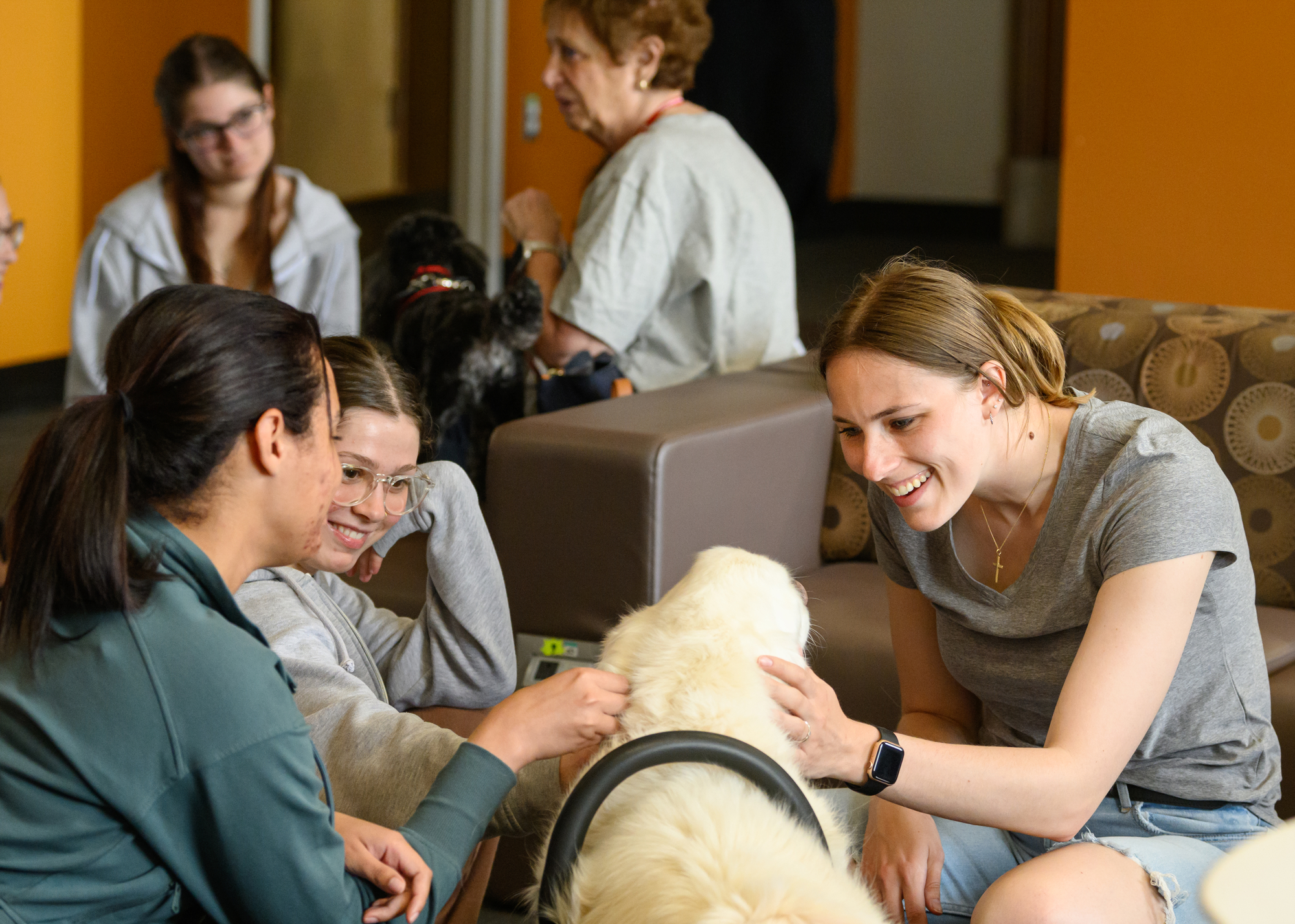 Therapy dogs give Mount students a chance to ‘paws’ and relax | Mount ...