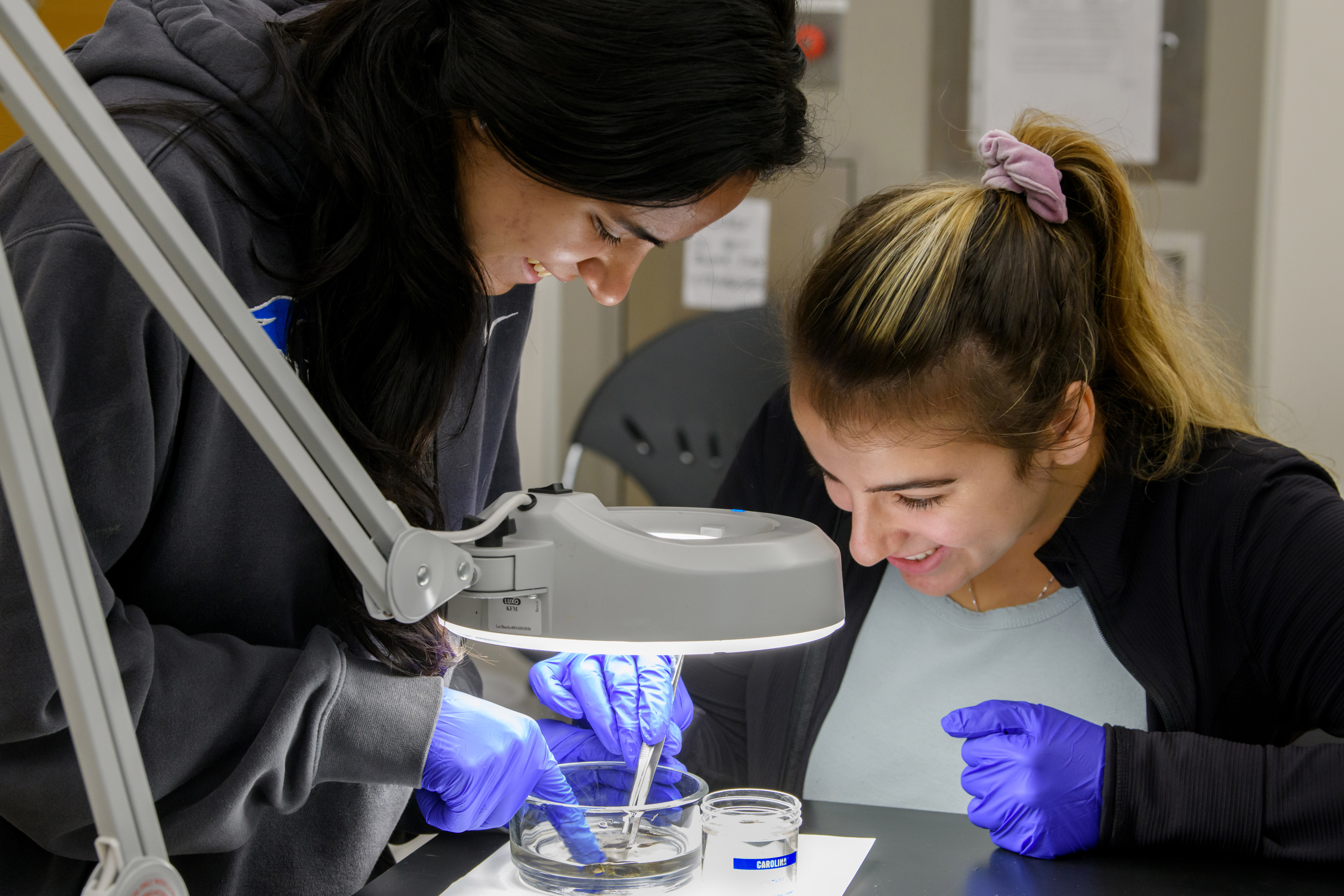 Mount scholars present original, summer research | Mount Saint Mary College