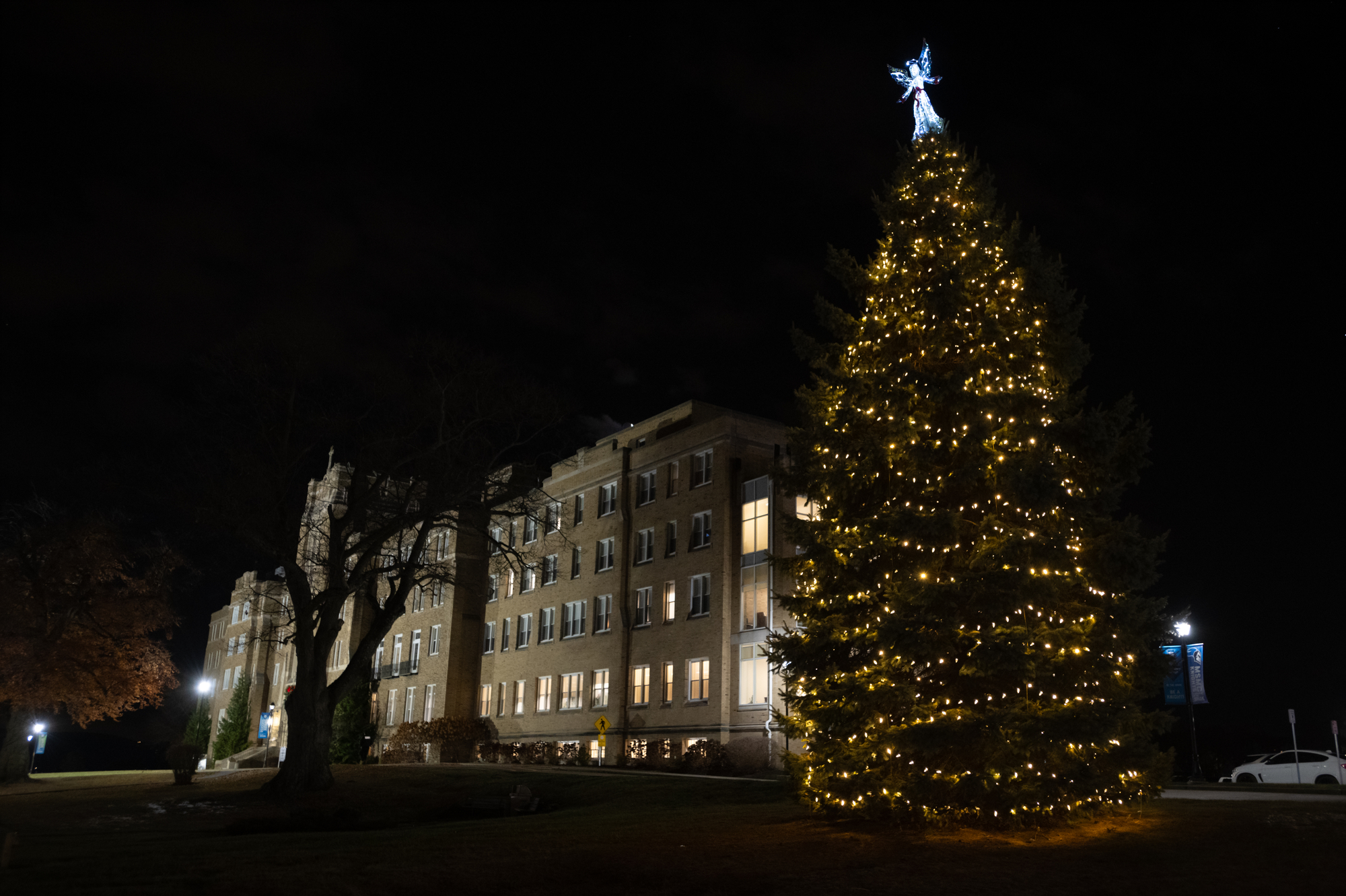 O Christmas Tree: Mount celebrates the holidays with annual tree ...