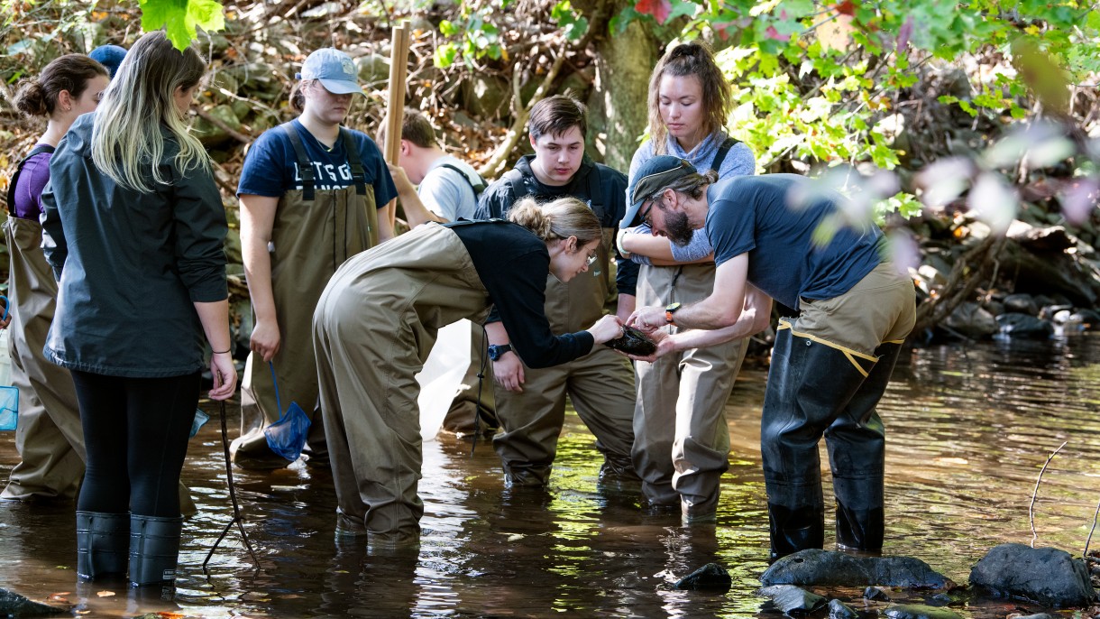Biology | Mount Saint Mary College