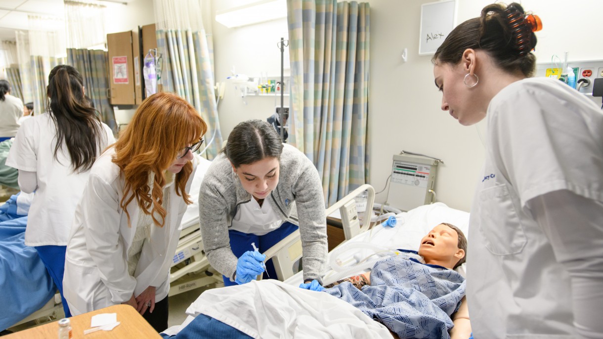 Master of Science in Nursing Education | Mount Saint Mary College
