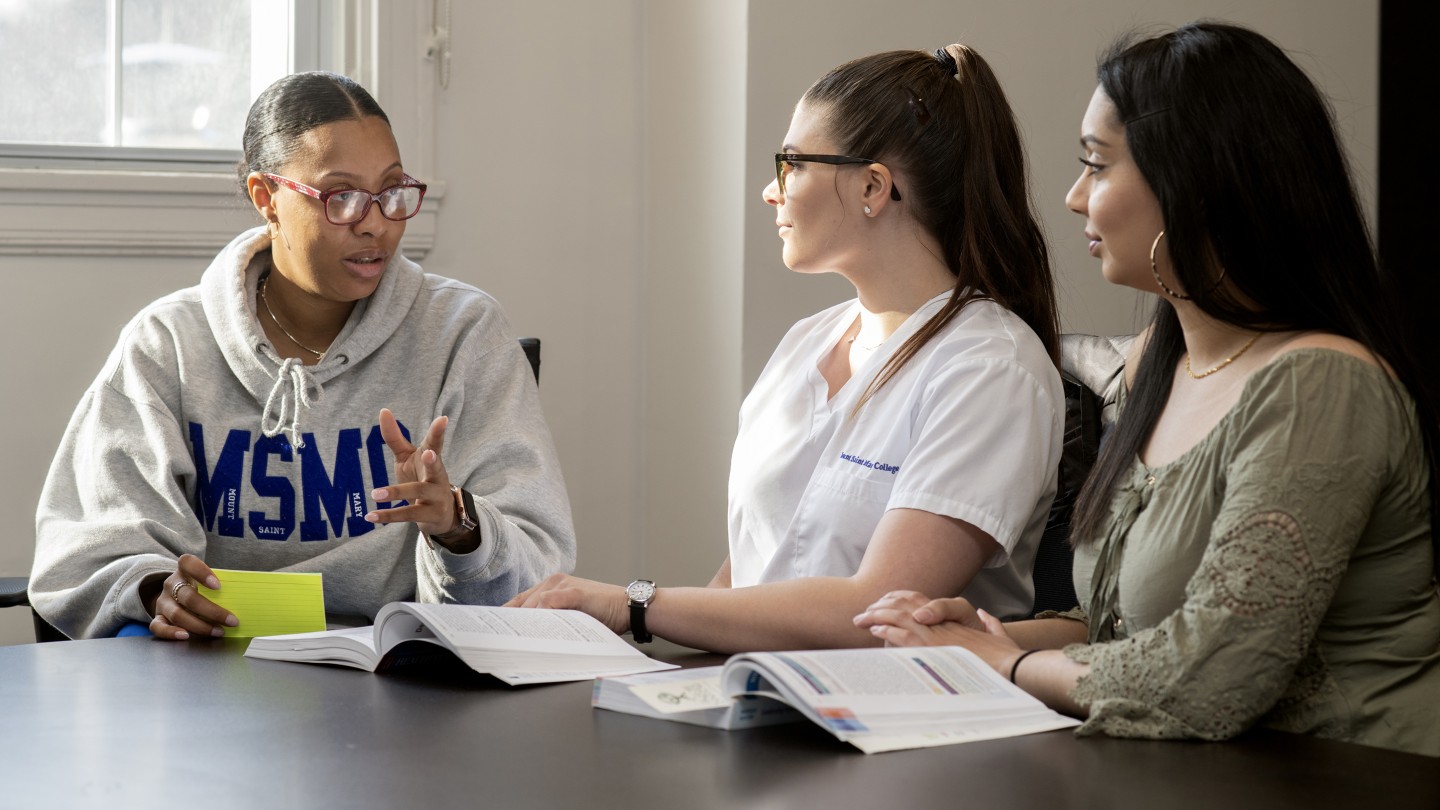 Nursing Non-Traditional/Accelerated Transfer Program | Mount Saint Mary ...